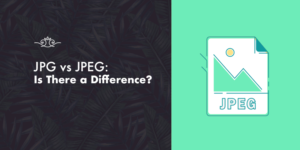 JPG vs JPEG File Formats: Is There a Difference? - MeridianThemes